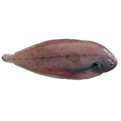 Homepage | Pim Spesa Online